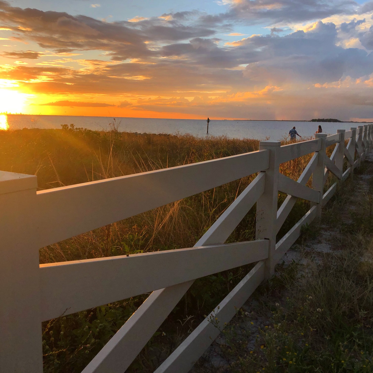 What Is The Best Fencing For A Waterfront Property? – Marina View Homes