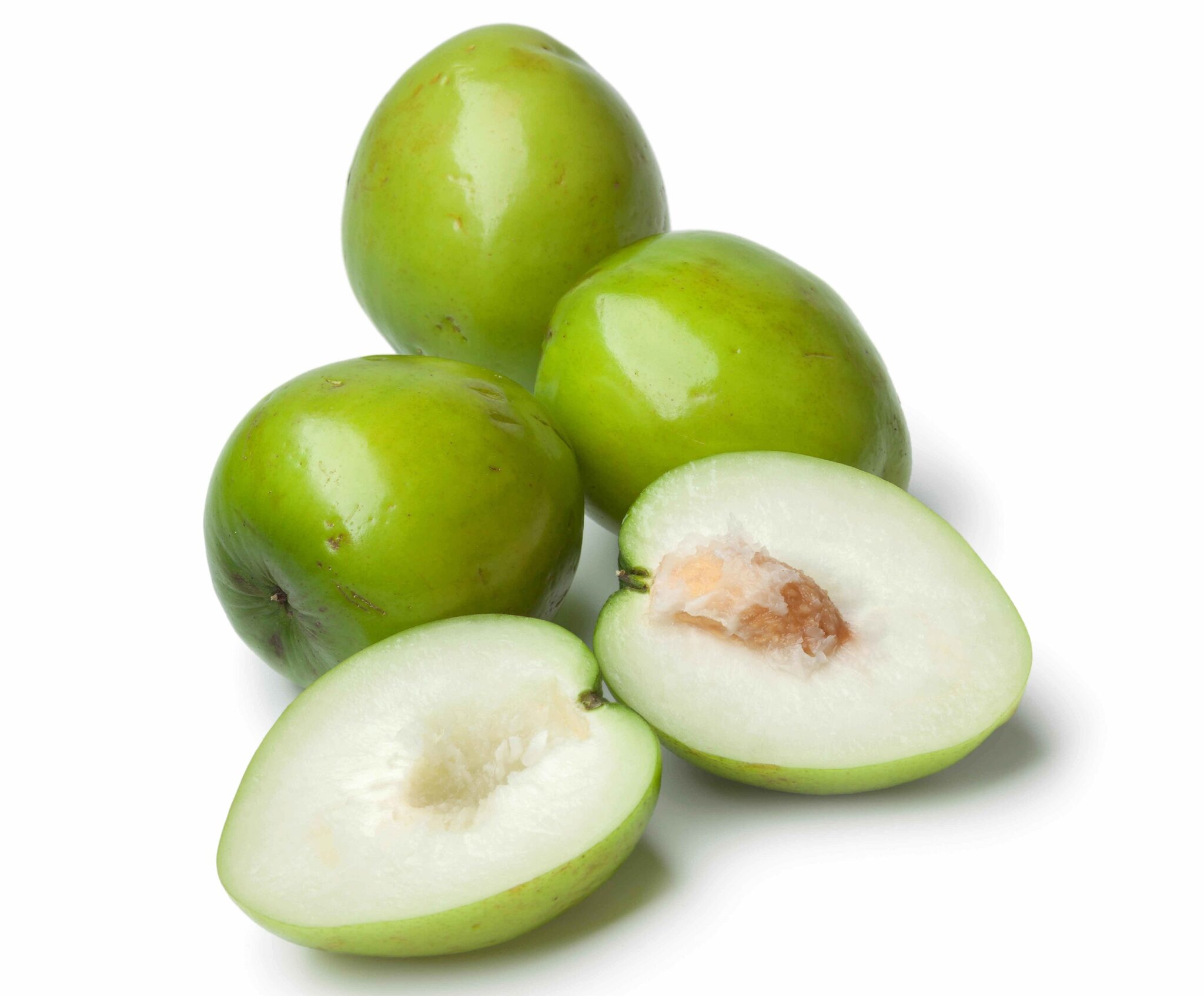 What Small Tropical Fruit Plants Can You Grow Indoors? – Marina View Homes